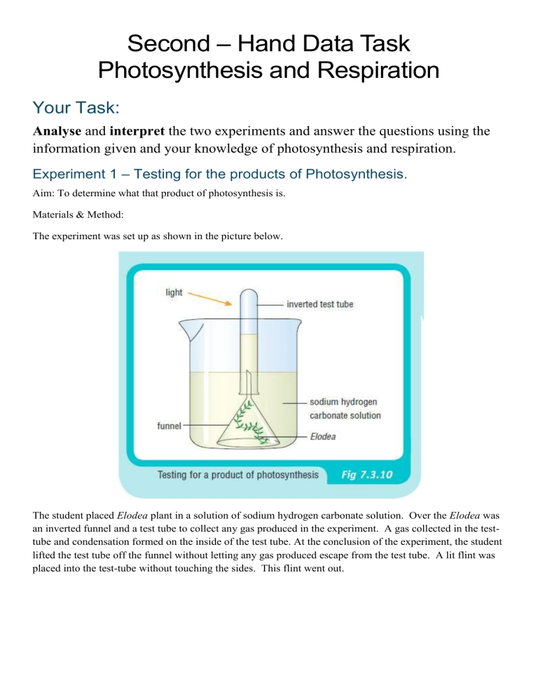 Photosynthesis & Respiration Experiments: Data Analysis Task