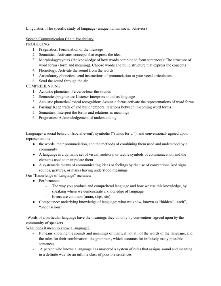 Linguistics: Language Study, Communication Chain & Grammar Concepts