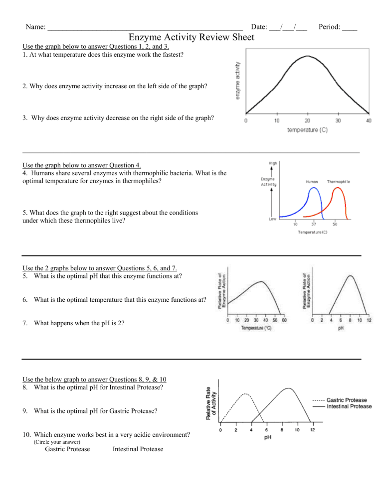 Enzyme Activity Review Sheet: Temperature & pH Effects