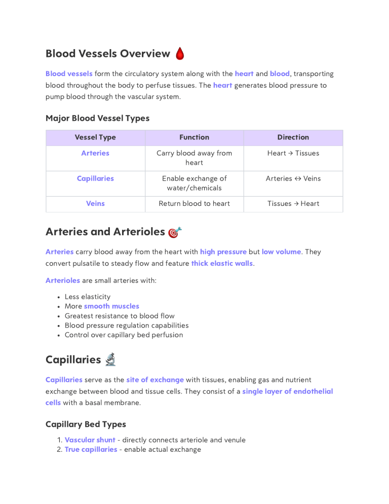 Blood Vessels Overview: Anatomy, Function, and Circulatory System