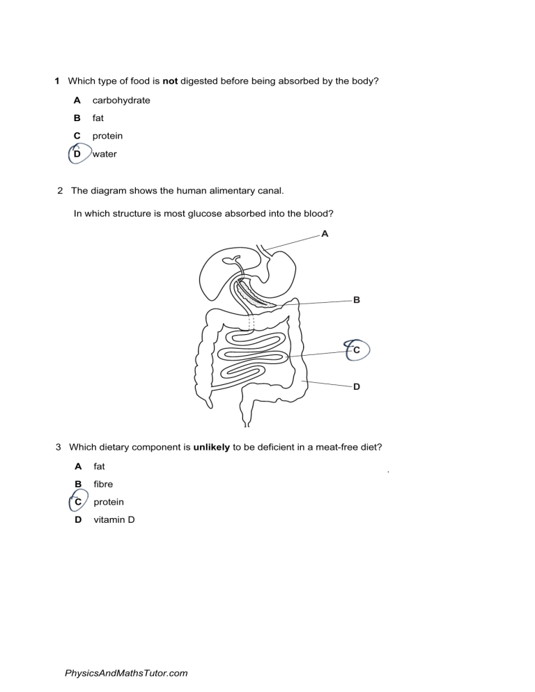 Digestion & Nutrition Exam Questions - High School Biology