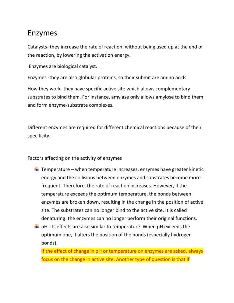 Enzymes: Biological Catalysts, Function, and Factors Affecting Activity