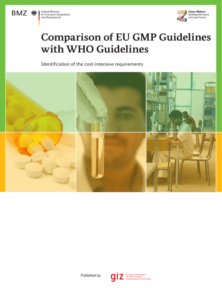 EU vs WHO GMP Guidelines: Cost-Intensive Requirements & Harmonization