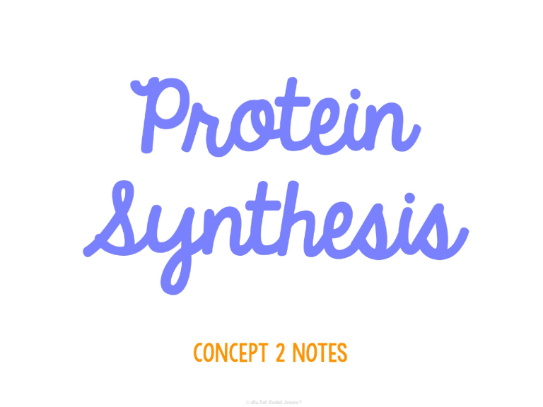Protein Synthesis: DNA to Protein, Transcription & Translation Notes