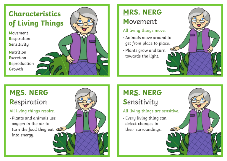 Characteristics of Living Things: MRS. NERG Explained for Kids