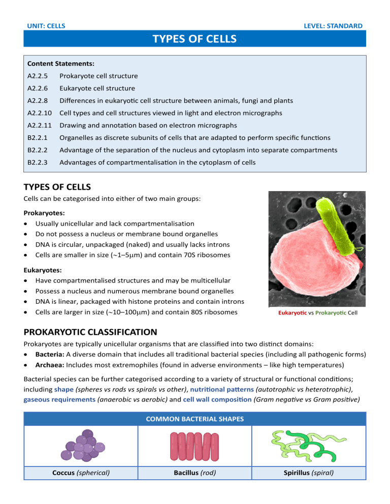 Types of Cells: Prokaryotic vs Eukaryotic Structure & Classification