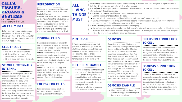 Cell Biology Study Guide: Cells, Tissues, Organs & Systems