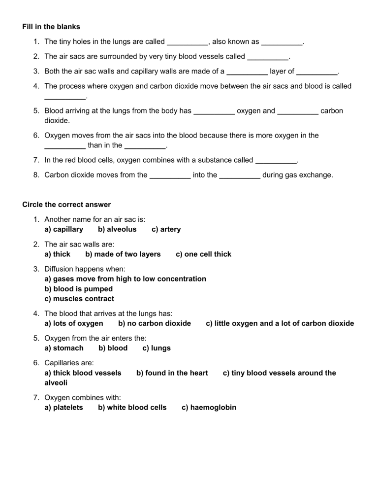 Respiratory System Gas Exchange Worksheet: Lungs, Alveoli & Diffusion
