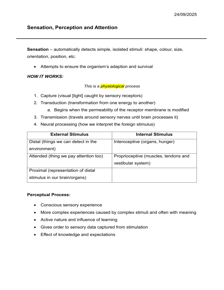 Sensation, Perception & Attention: Psychology Lecture Notes
