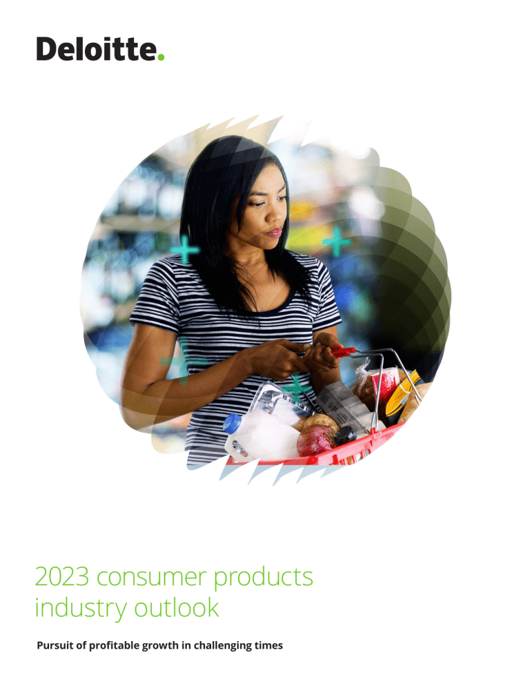 2023 Consumer Products Industry Outlook | Profitable Growth