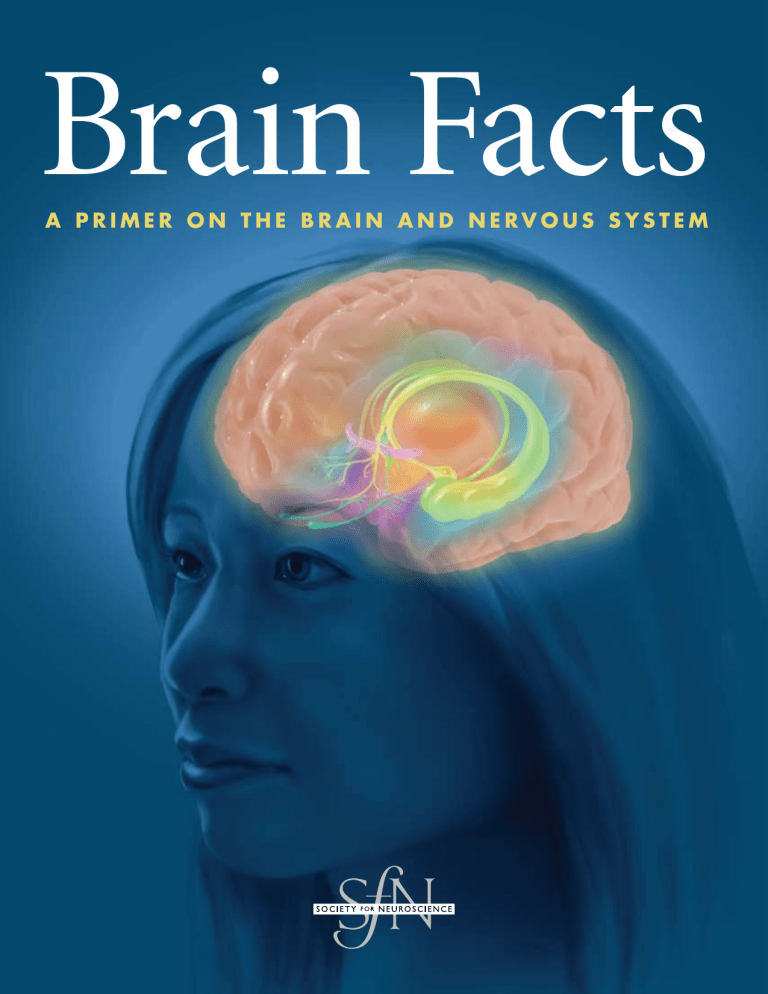 Brain Facts: A Primer on the Brain and Nervous System | Neuroscience Guide