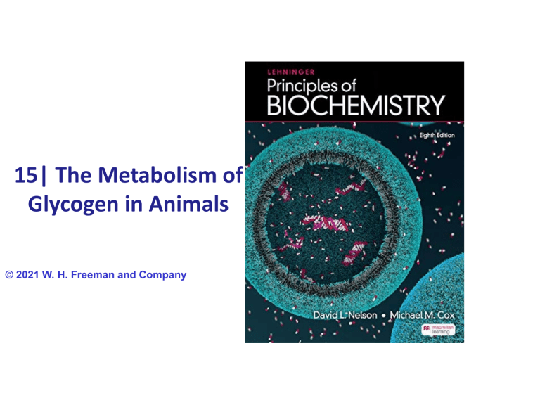 Glycogen Metabolism in Animals: Biochemistry Chapter
