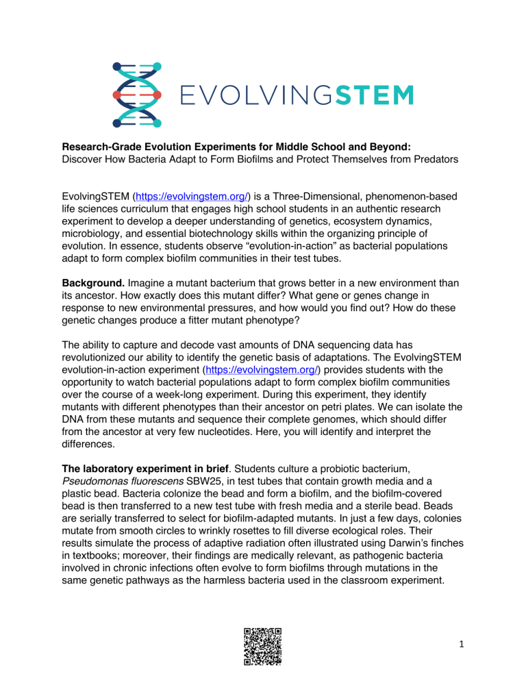 EvolvingSTEM: Bacterial Evolution & Biofilms Curriculum