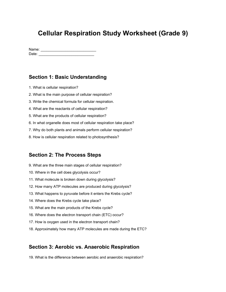 Cellular Respiration Study Worksheet (Grade 9) - Questions & Answers