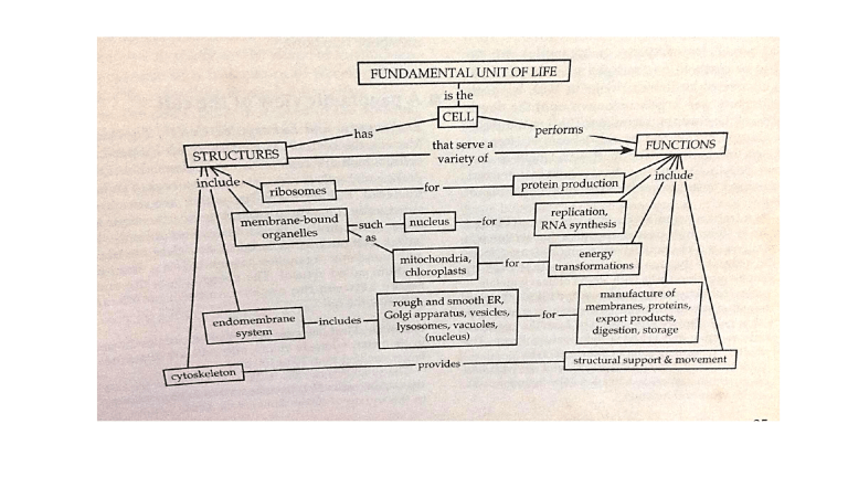 The Reproduction of Cells: Cell Cycle, Mitosis, Meiosis & Regulation