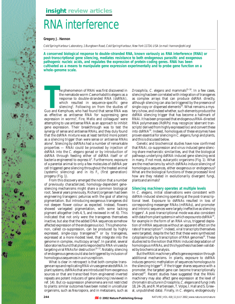 RNA Interference: Mechanisms and Applications