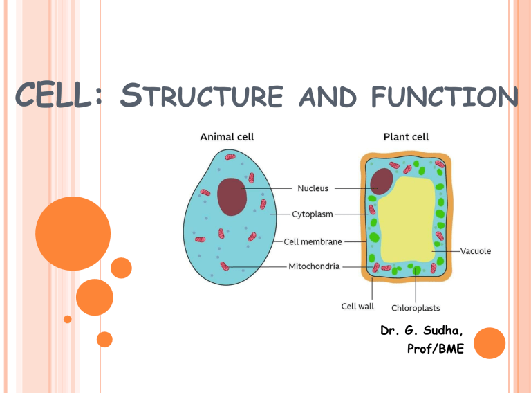 Cell Structure and Function: A Comprehensive Overview