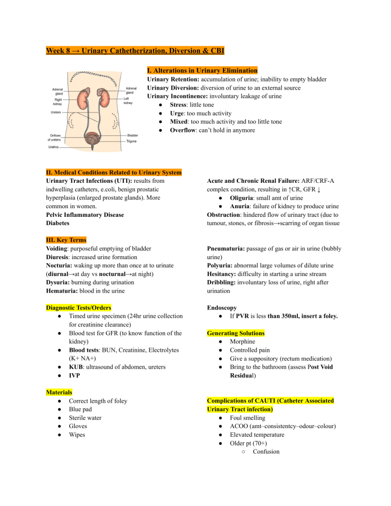 Urinary Catheterization, Diversion & CBI Lecture Notes