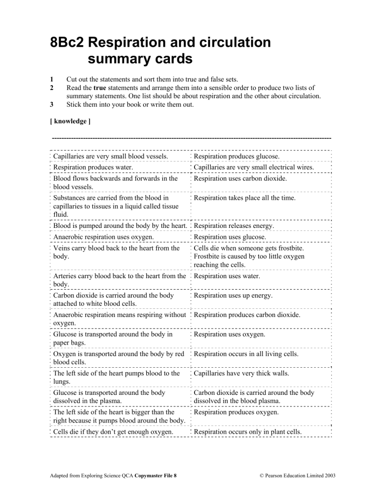 Respiration & Circulation Summary Cards Worksheet