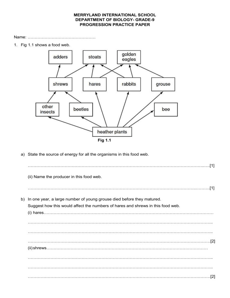Grade 9 Biology Practice Paper: Food Webs, Genetics, Photosynthesis