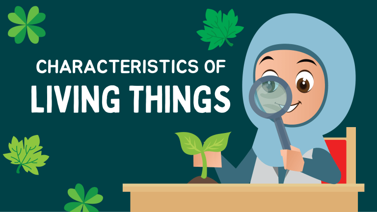 Characteristics of Living Things: Biology Concepts Explained