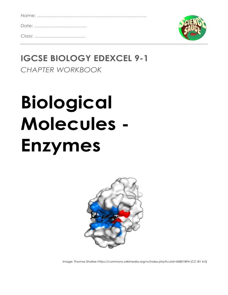 IGCSE Biology Edexcel 9-1 Workbook: Enzymes & Biological Molecules