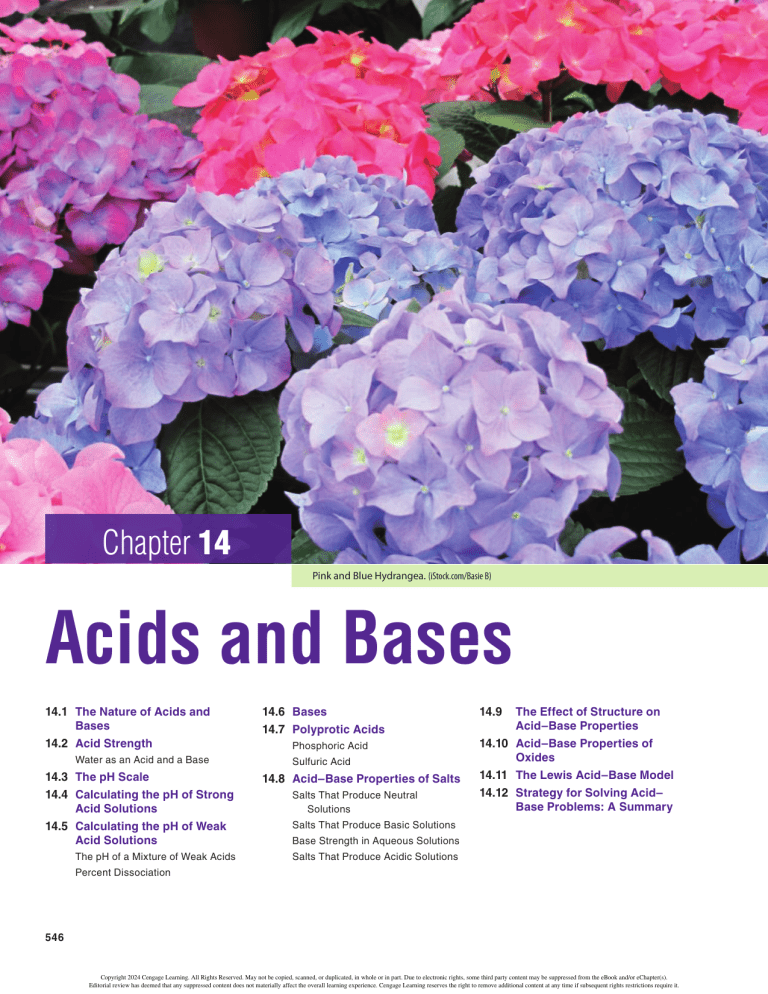 Acids and Bases: Chemistry Chapter
