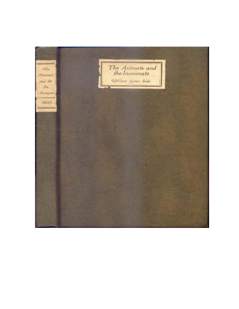 The Animate and the Inanimate: Reversibility Theory