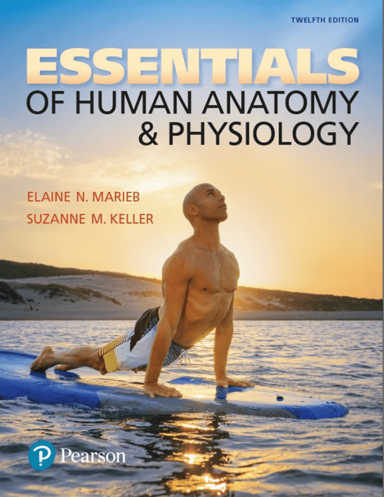 Essentials of Human Anatomy & Physiology Textbook - 12th Edition