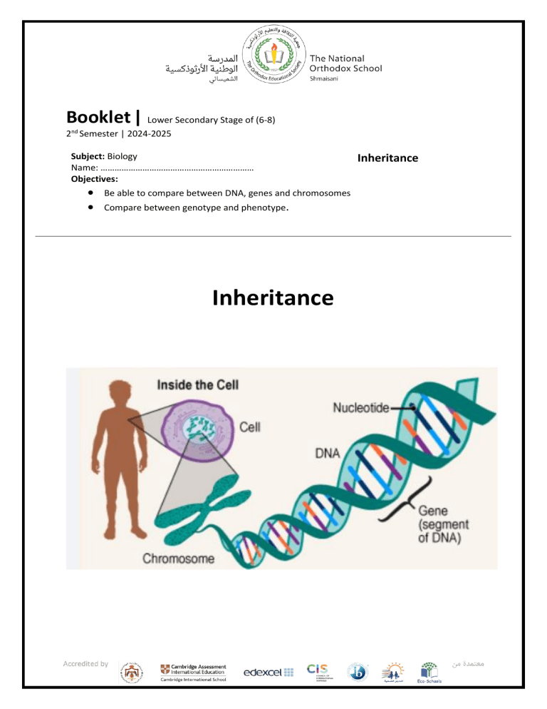 Biology Inheritance: DNA, Genes, Chromosomes, Genotype & Phenotype