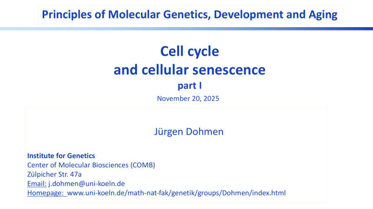 Cell Cycle & Senescence: Molecular Genetics Presentation
