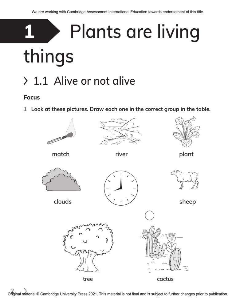 Elementary Science: Living & Non-Living Things - Plants & Animals