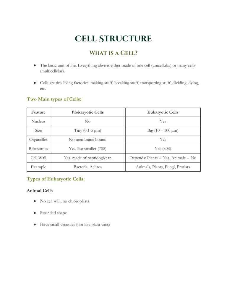 Cell Structure: Prokaryotic vs. Eukaryotic Cells & Organelles