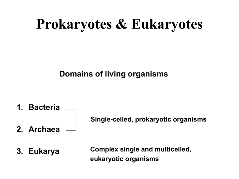 Prokaryotes vs Eukaryotes: Cell Structure & Function