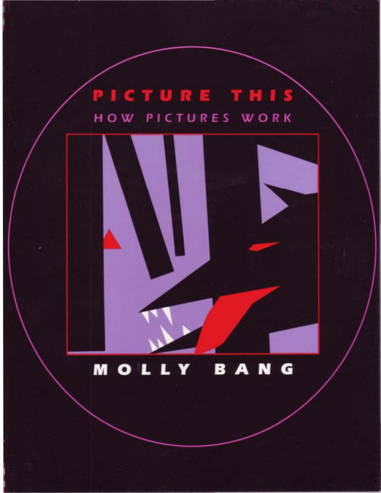 Picture This: How Pictures Work - Visual Perception & Composition Guide