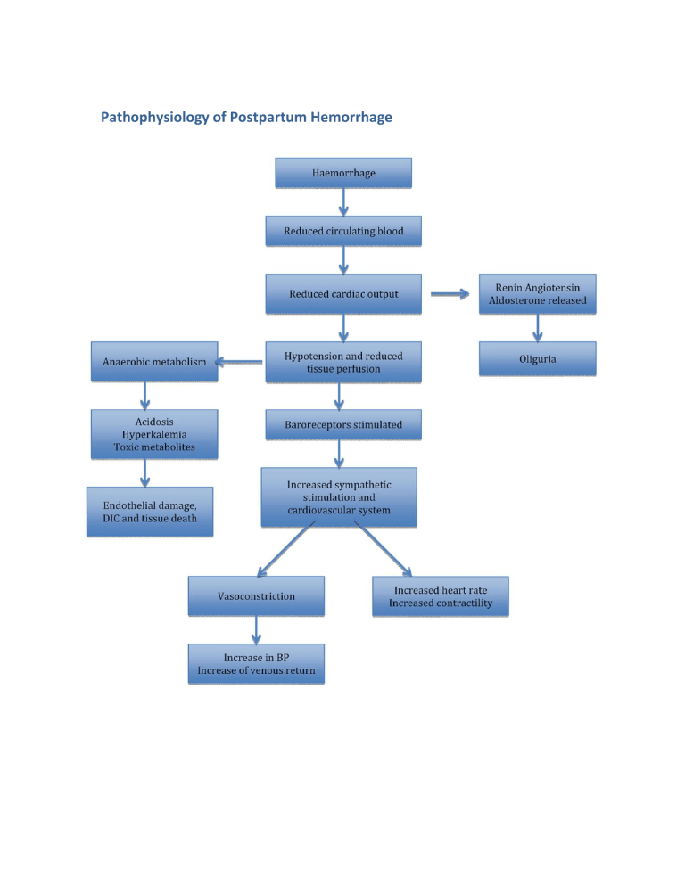 Postpartum Hemorrhage Pathophysiology Flowchart