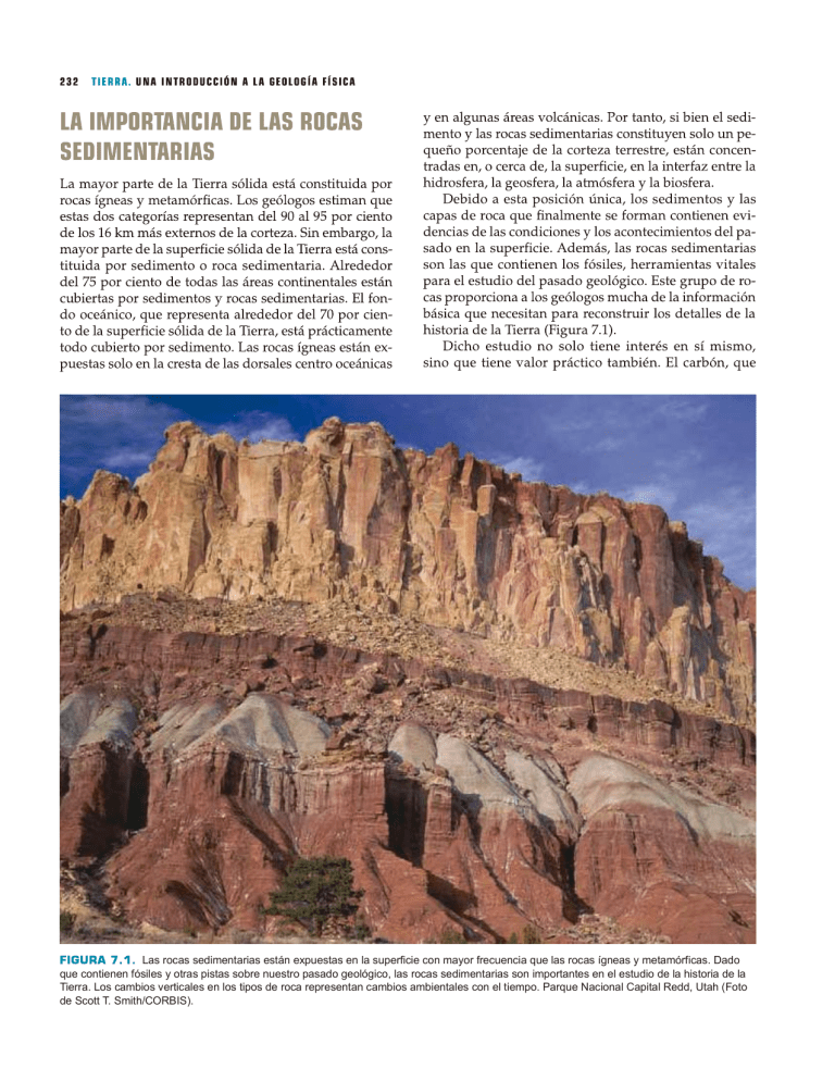 Rocas Sedimentarias: Formación, Tipos e Importancia en Geología