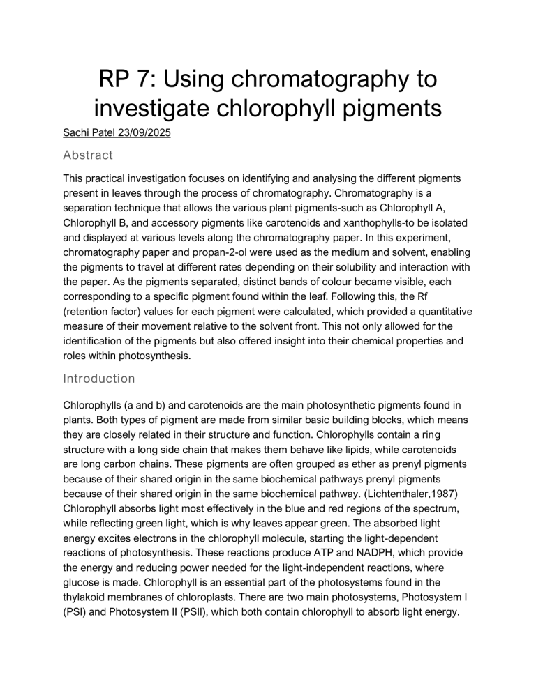 Chlorophyll Pigment Chromatography: Practical Report & Rf Analysis