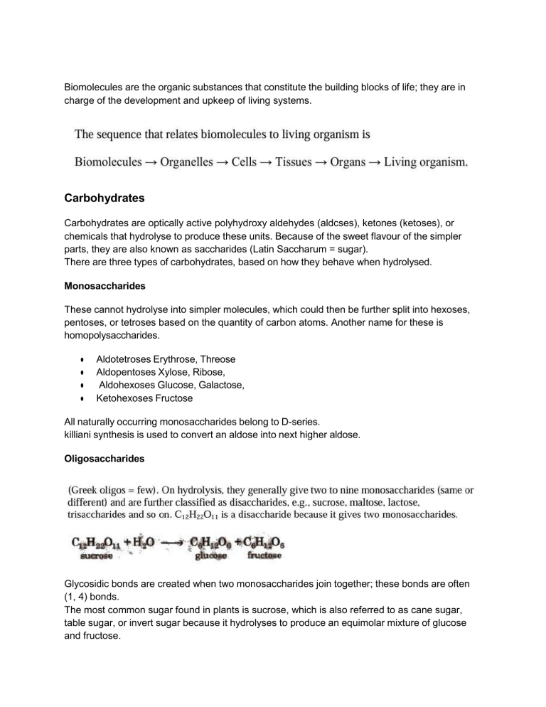 Biomolecules: Carbohydrates, Proteins, Nucleic Acids Lecture Notes