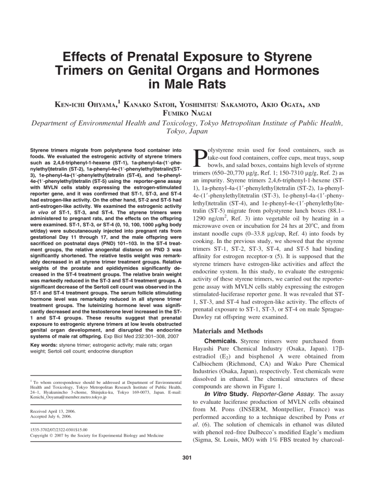 Prenatal Styrene Trimer Exposure: Effects on Male Rat Genital Organs ...