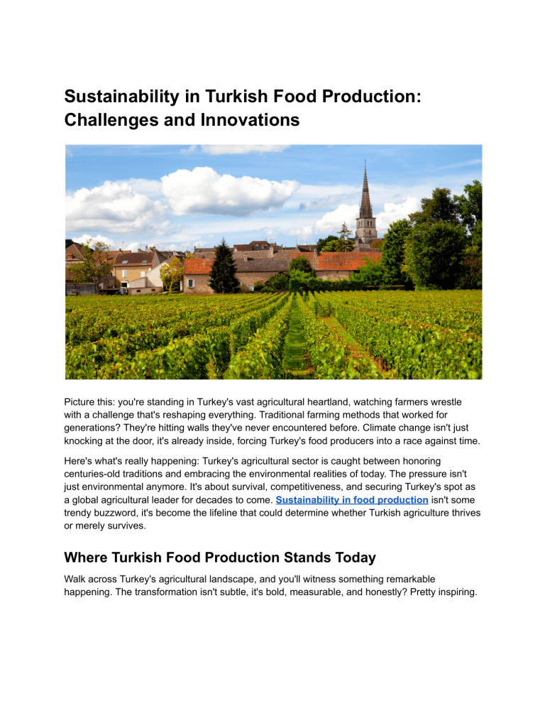 Sustainability in Turkish Food Production: Challenges & Innovations