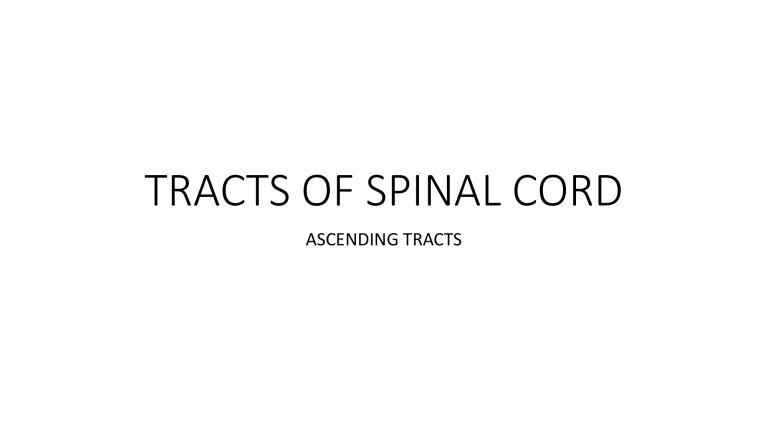 Spinal Cord Ascending Tracts: Sensory Pathways Explained