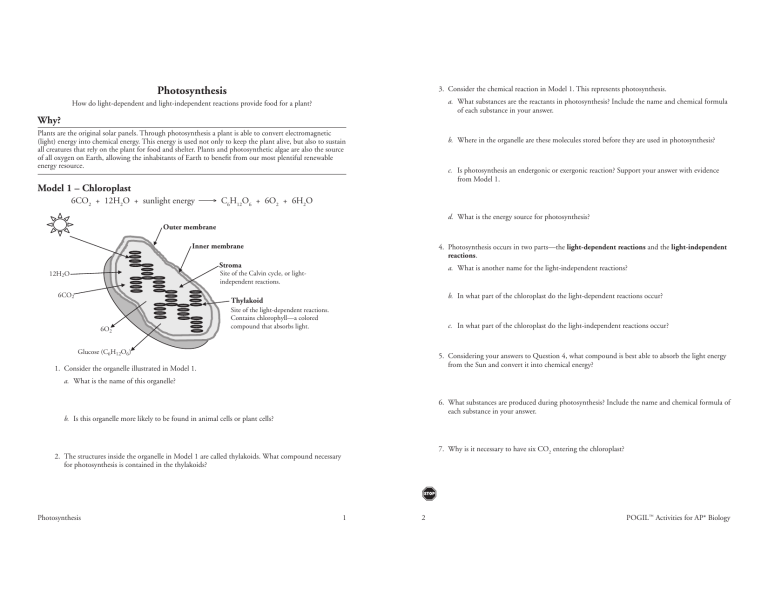 Photosynthesis POGIL Activity: Light-Dependent & Independent Reactions