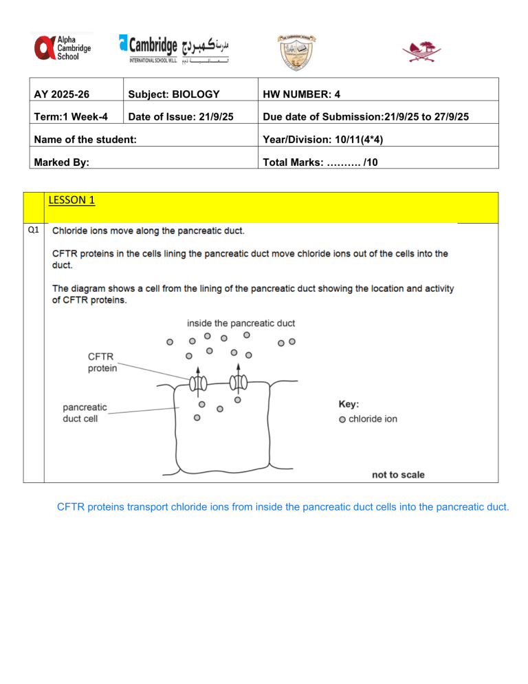 Biology Homework 4: Cell Transport, Osmosis & Turgor Pressure