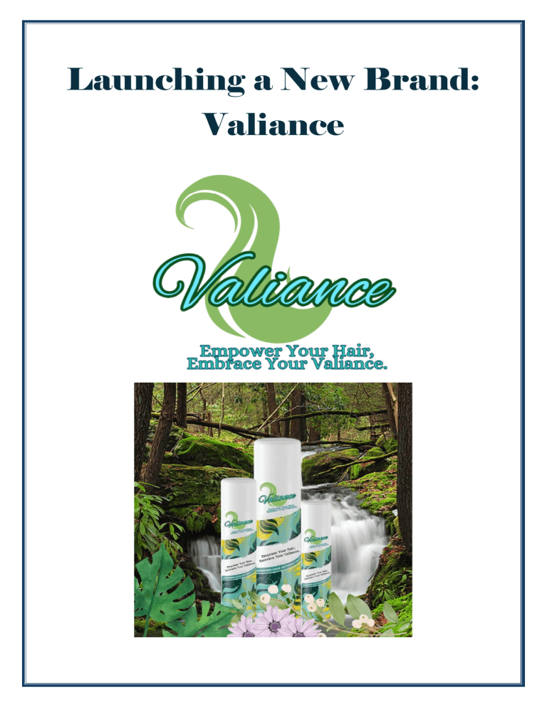 Valiance Brand Launch: Dry Shampoo Marketing Strategy
