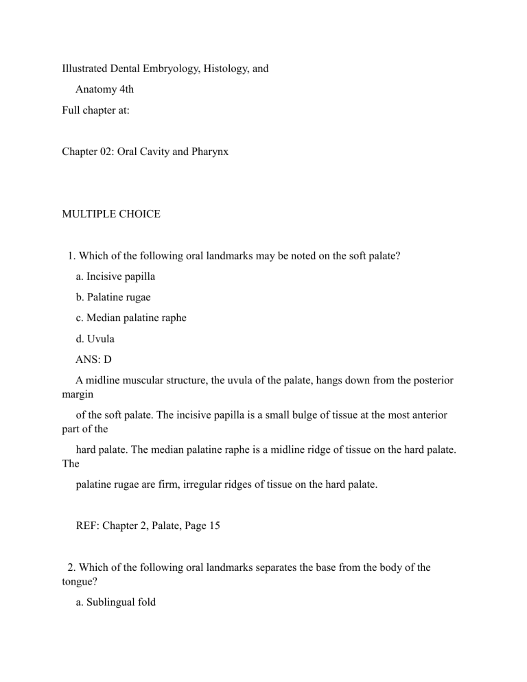 Dental Embryology & Anatomy: Oral Cavity Exam Questions