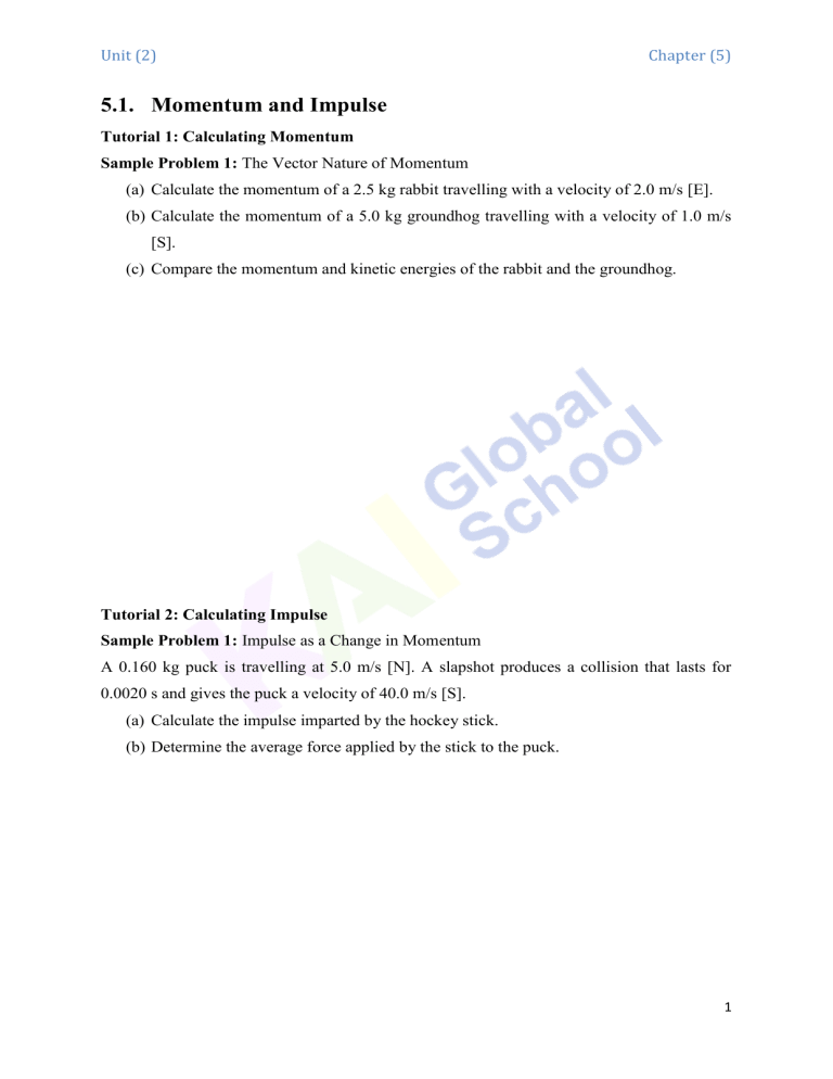 Momentum, Impulse, and Collisions: Physics Tutorials & Problems