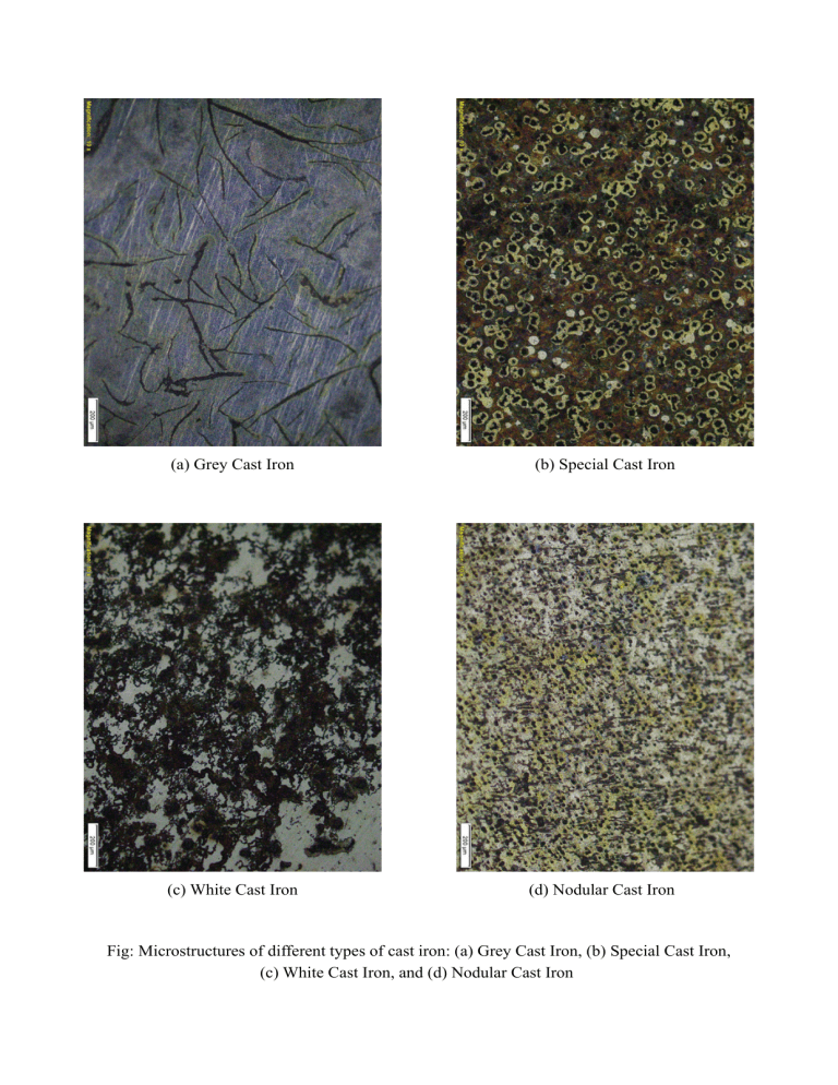 Microstructures of Cast Iron: Grey, Special, White, Nodular Types