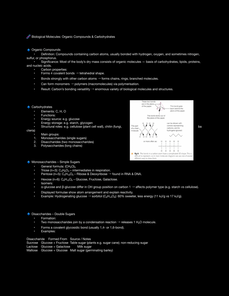 Biological Molecules: Organic Compounds & Carbohydrates Study Guide