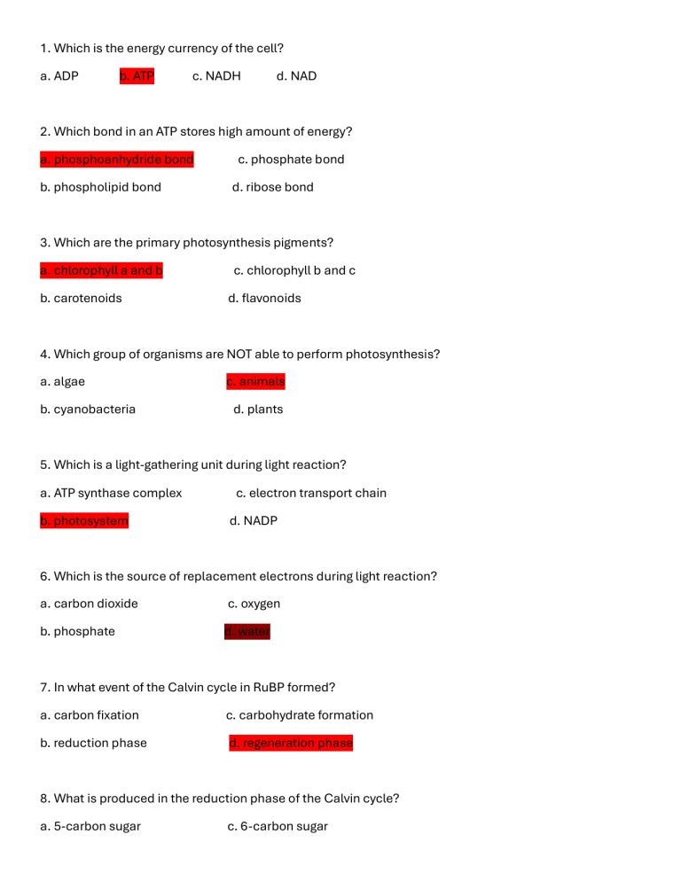 Biology Quiz: Photosynthesis & Cellular Respiration Multiple Choice ...